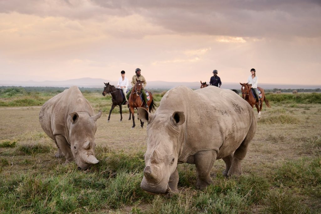 Traverse Kenya In Unparalleled Style - Robb Report Australia and New ...